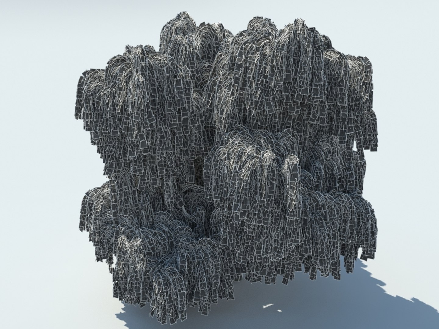 3d Realistic Willow Tree