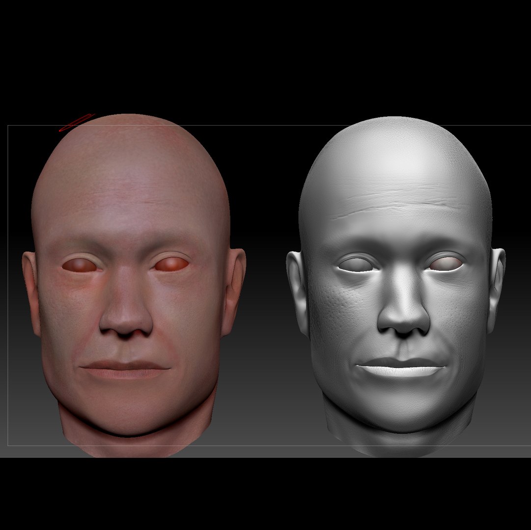 male head 3d max