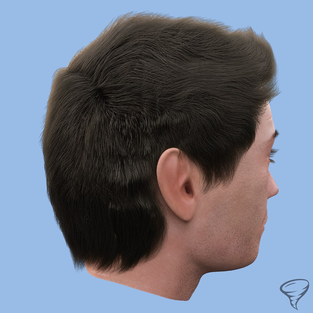male head 3d max