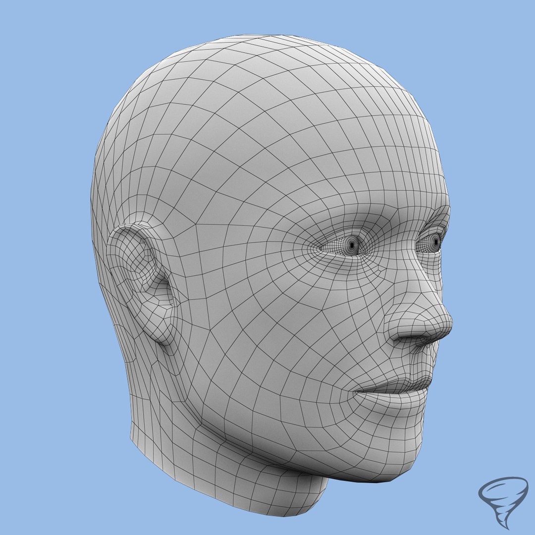 male head 3d max