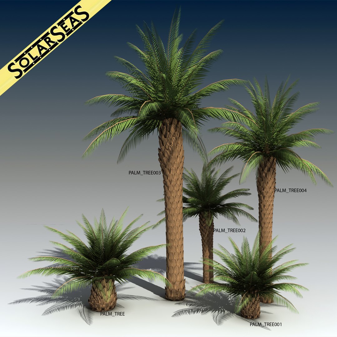 Realistic Palm Trees 3d Max