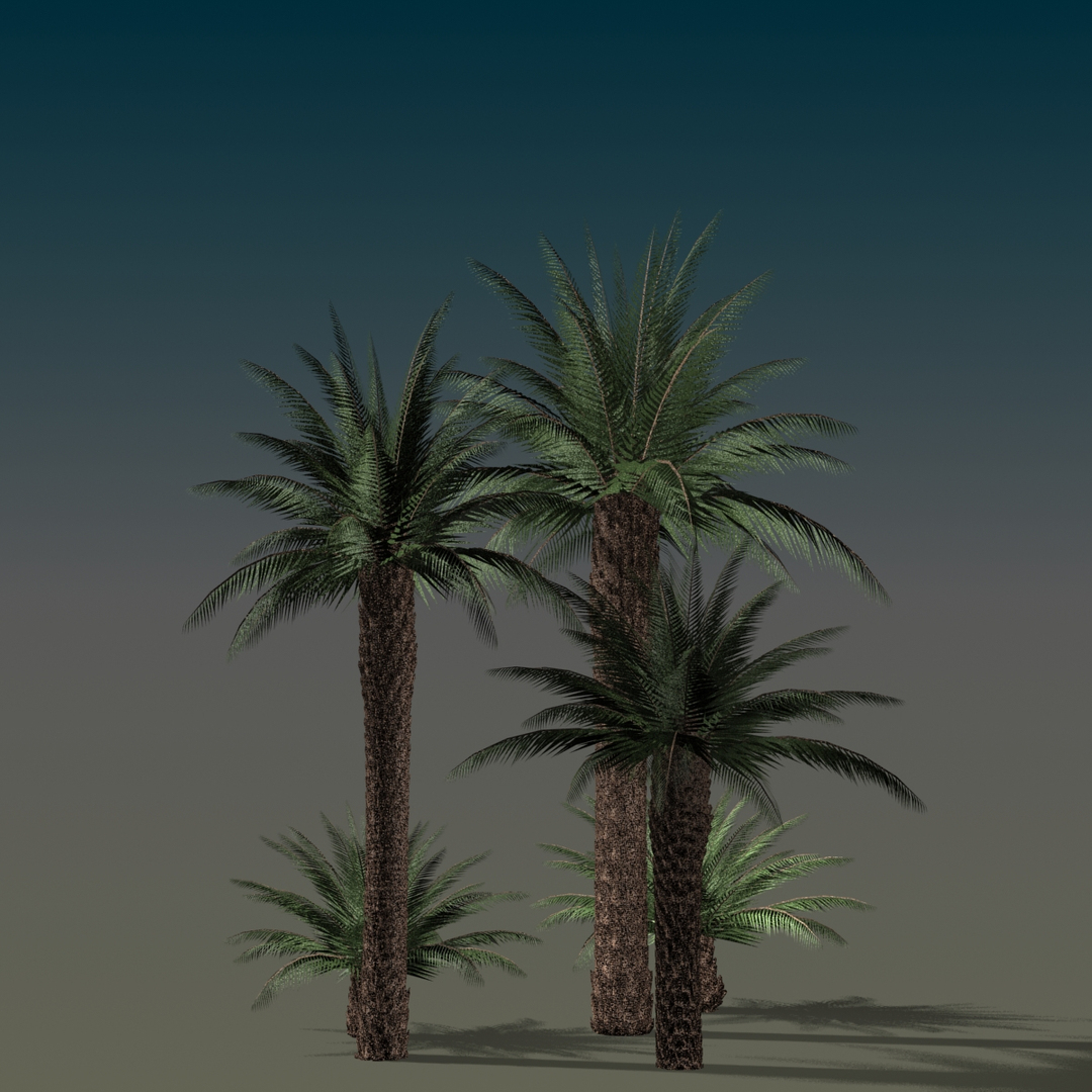 Realistic Palm Trees 3d Max