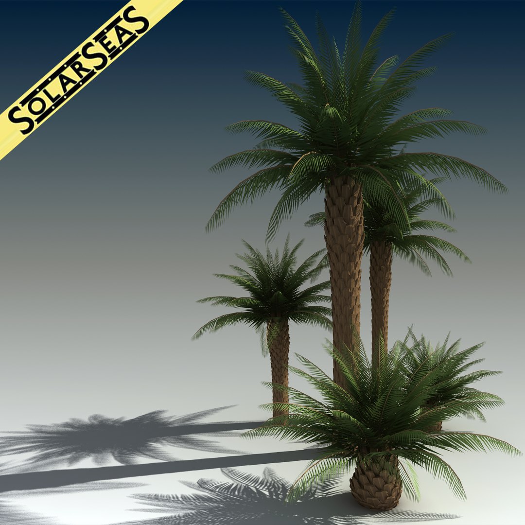 Realistic Palm Trees 3d Max