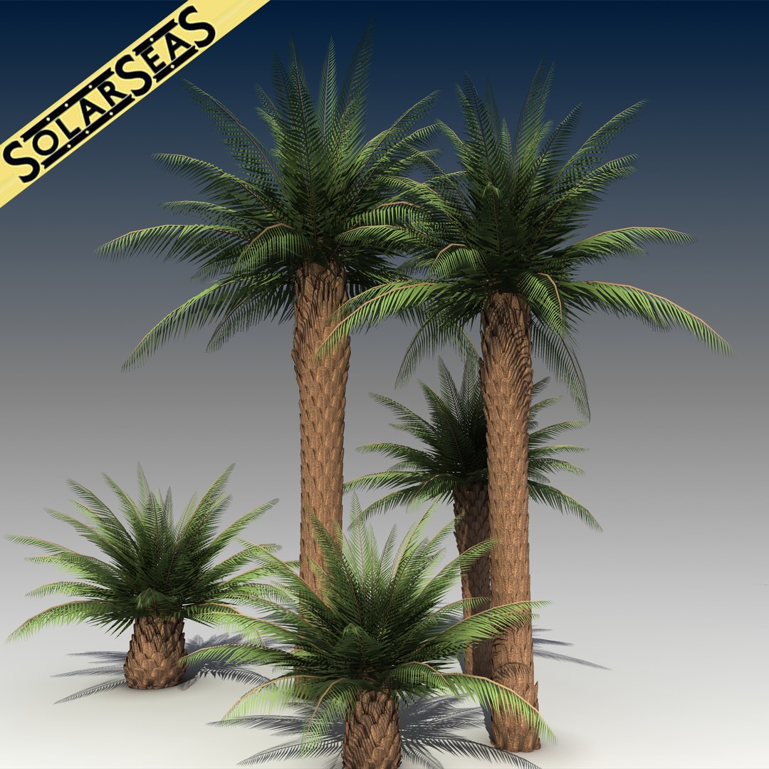 Realistic Palm Trees 3d Max
