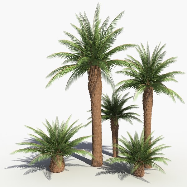 realistic palm trees 3d max