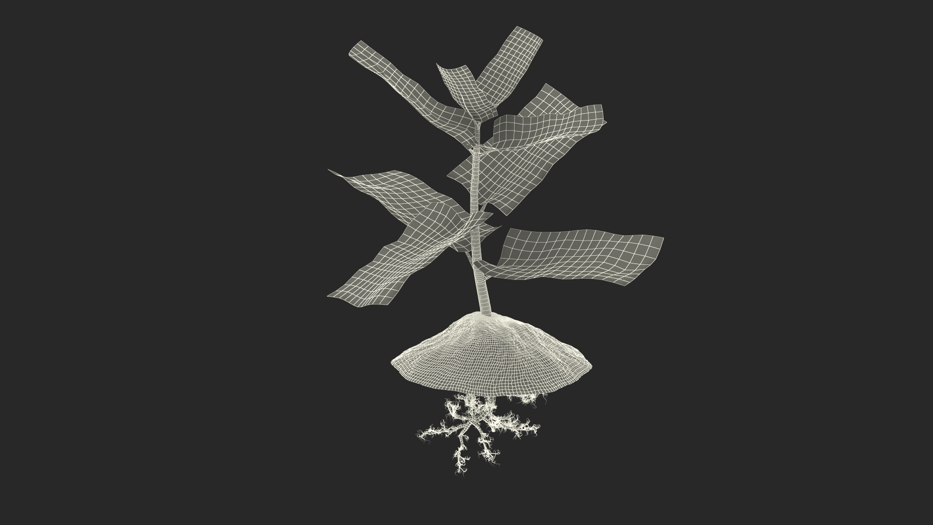 3D Young Plant With Roots - TurboSquid 2310864