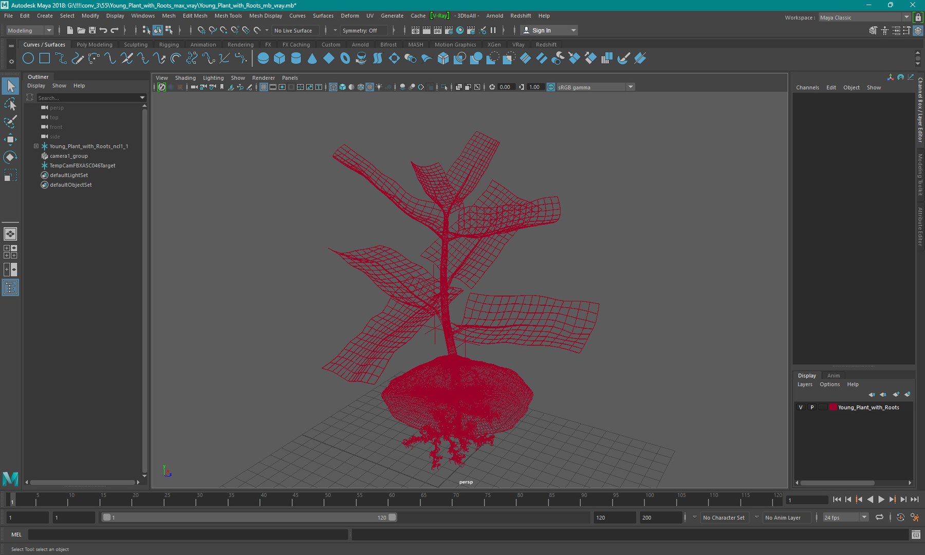 3D Young Plant With Roots - TurboSquid 2310864