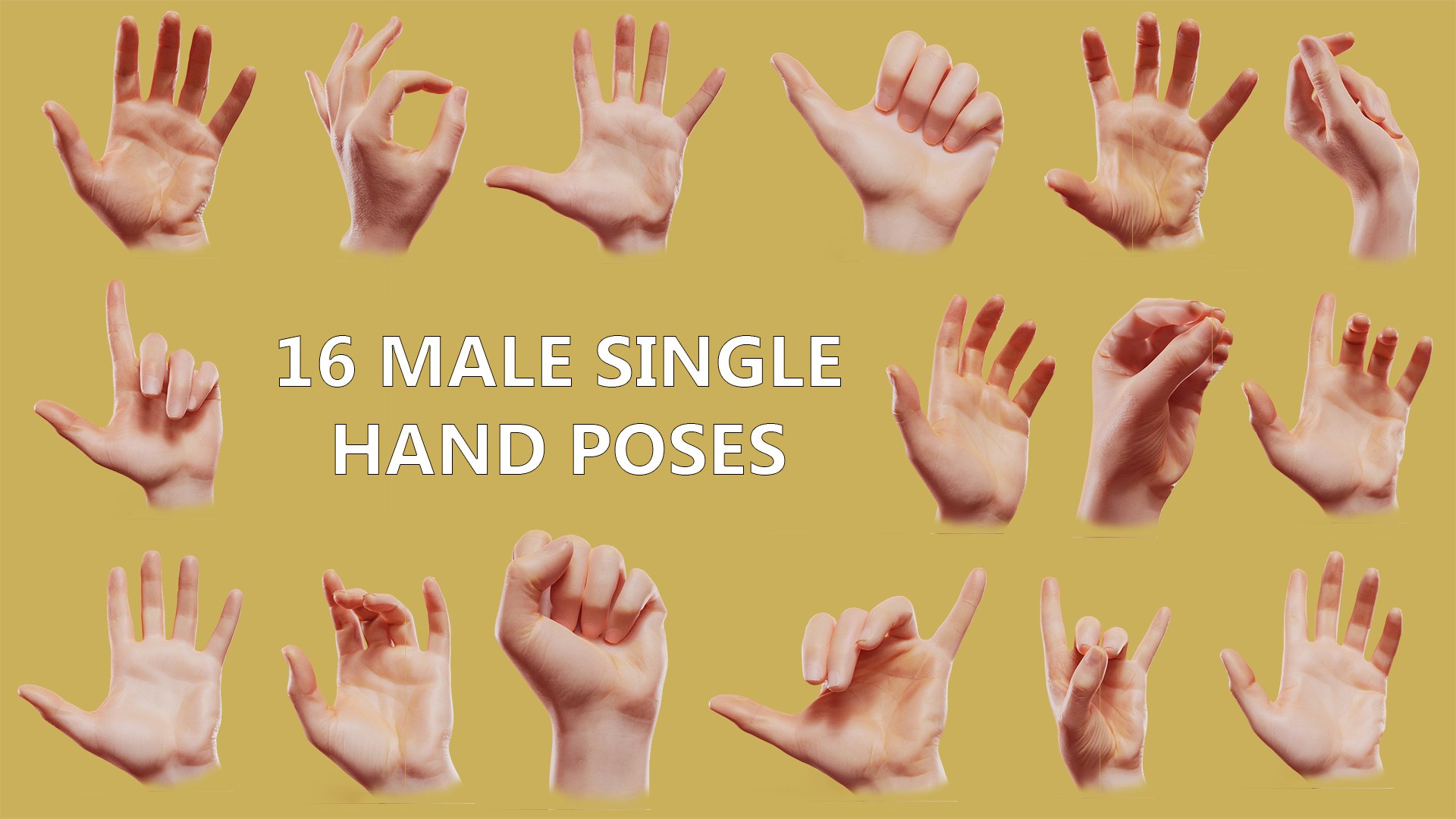 3D 16 Single Male Posed Hands Model - TurboSquid 2200535