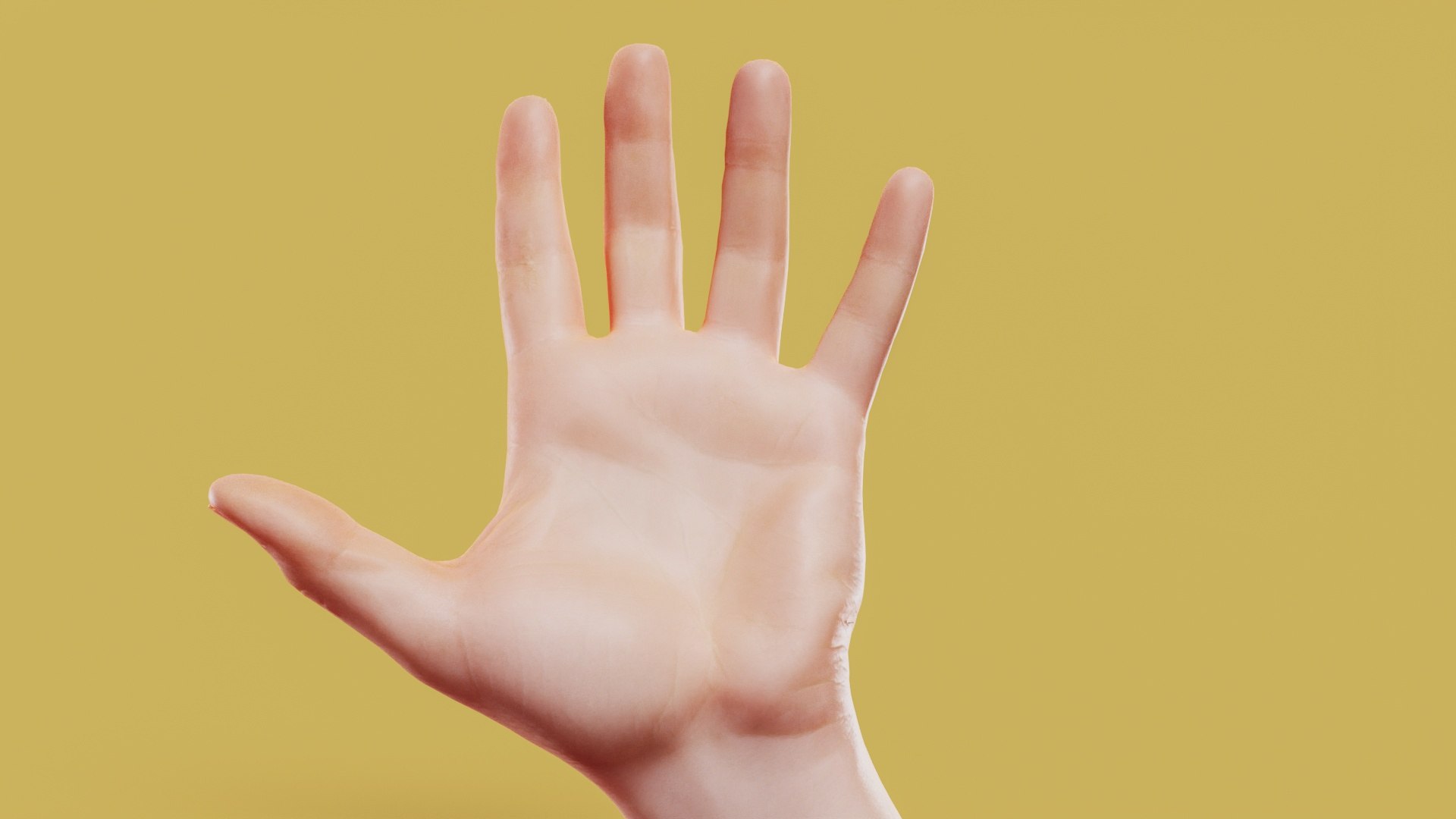 3D 16 Single Male Posed Hands Model - TurboSquid 2200535