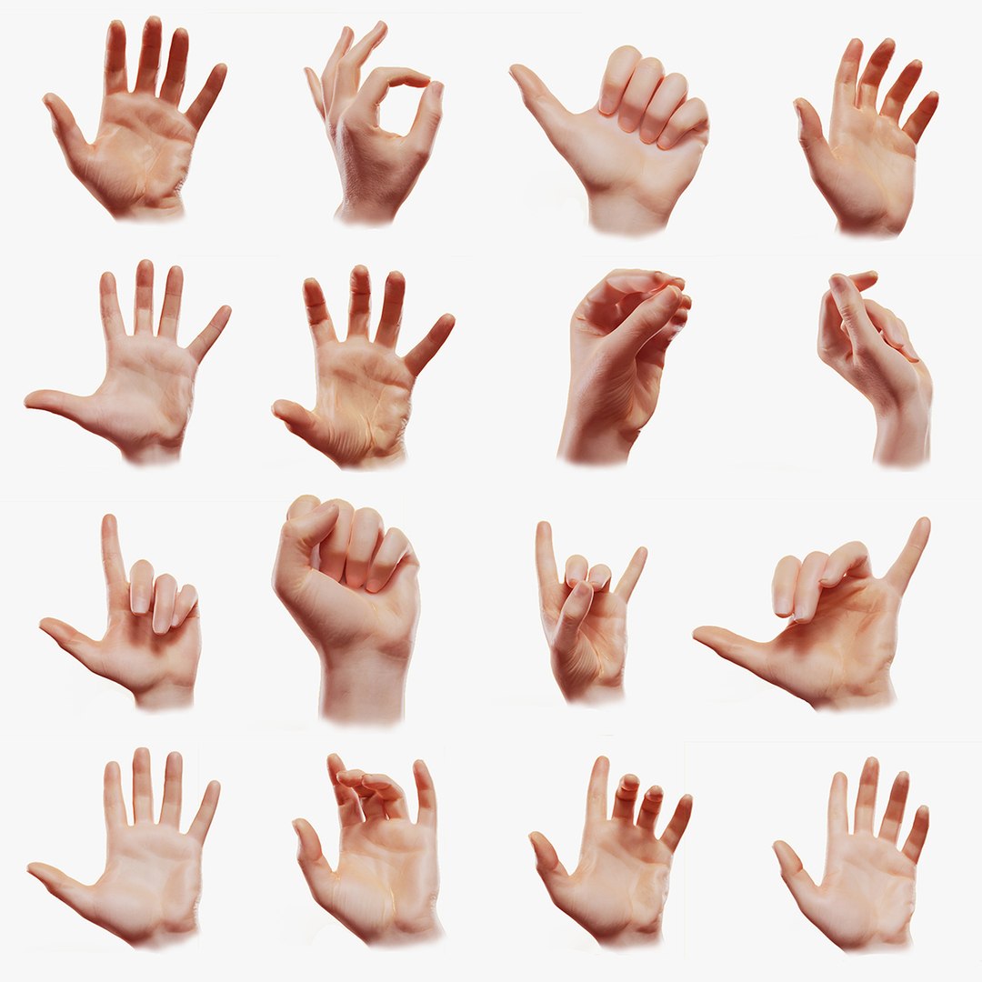 3D 16 Single Male Posed Hands Model - TurboSquid 2200535