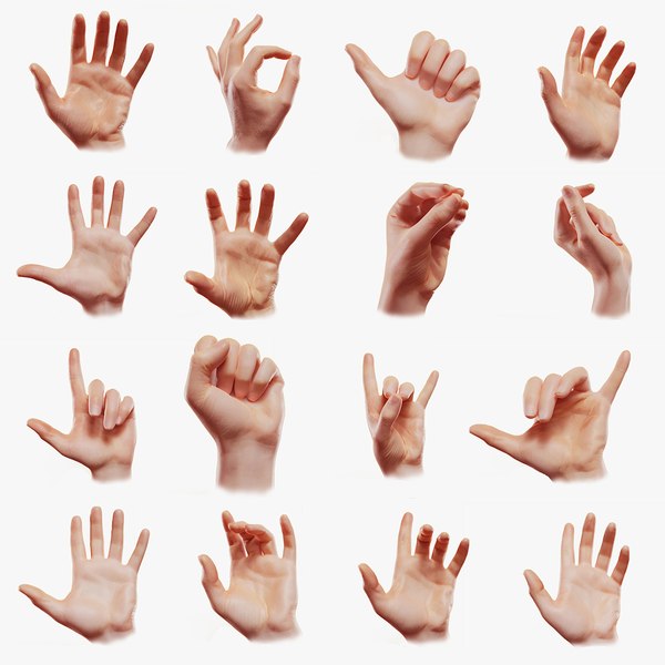 16 싱글 남성 포즈 손 3D 모델 - TurboSquid 2200535