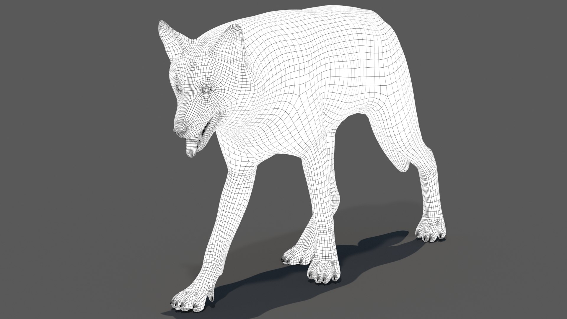 Animated Furry Red Wolf 3D Model - TurboSquid 2111215