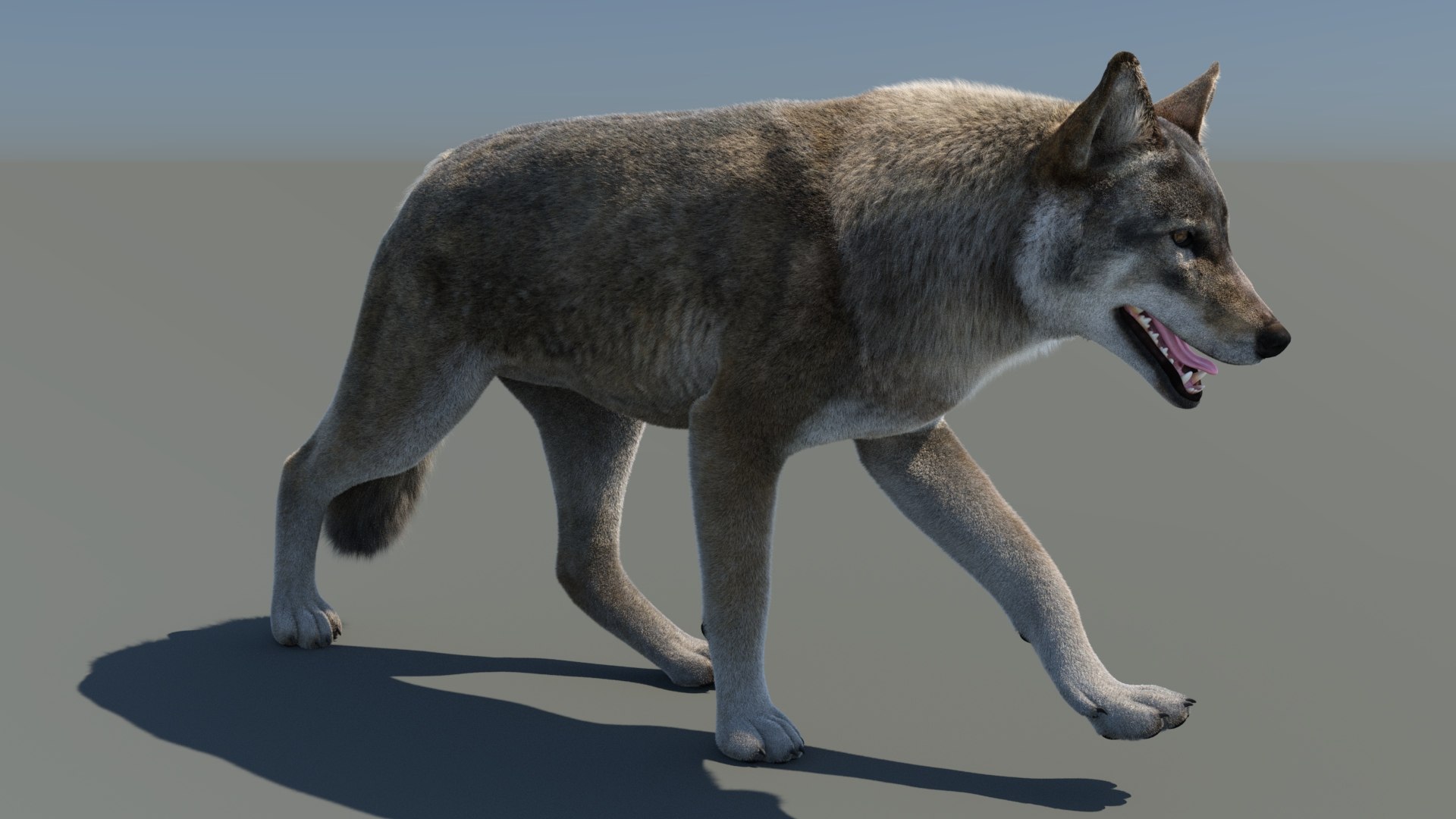 Animated Furry Red Wolf 3D Model - TurboSquid 2111215