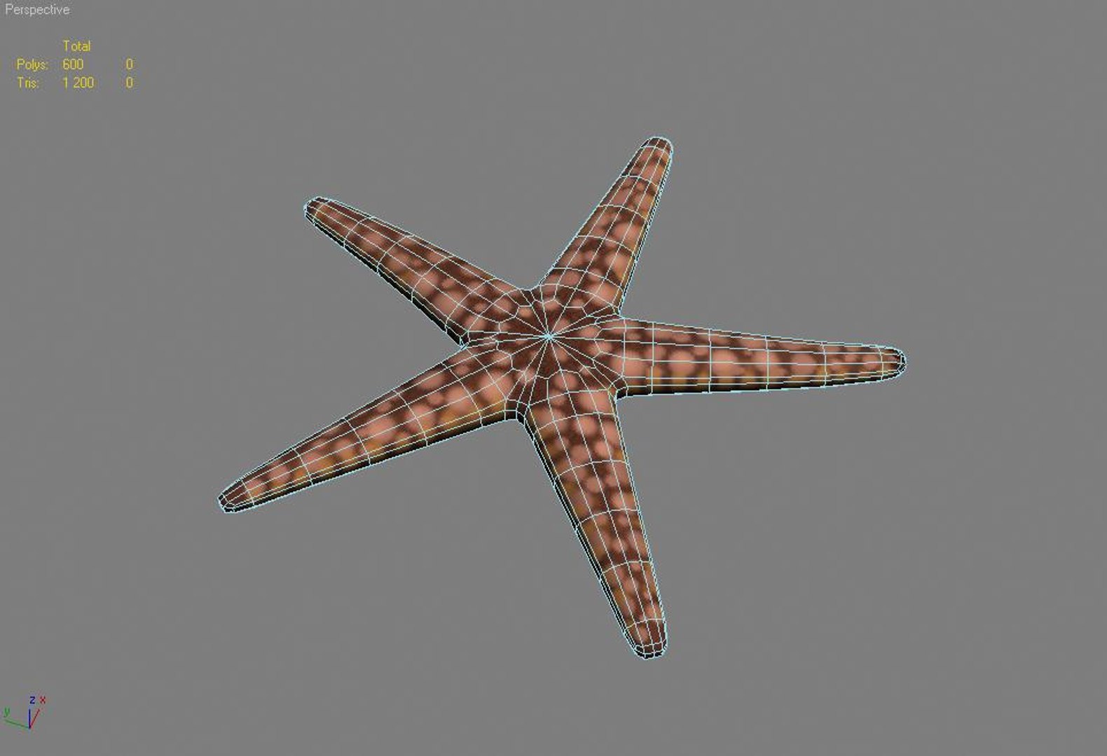 Star Fish Starfish 3d Obj