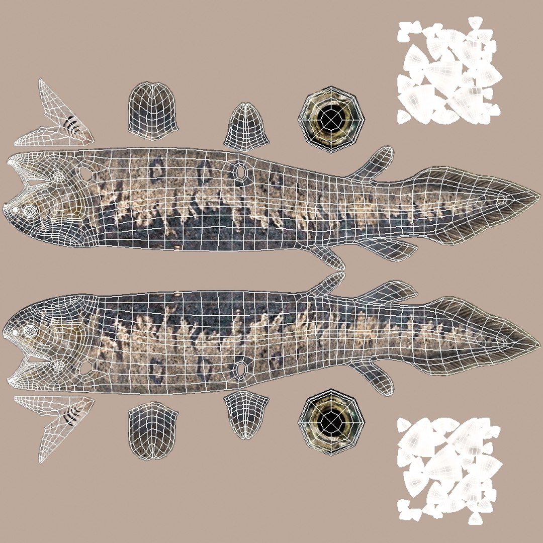 3D Rhizodus Model - TurboSquid 1346107