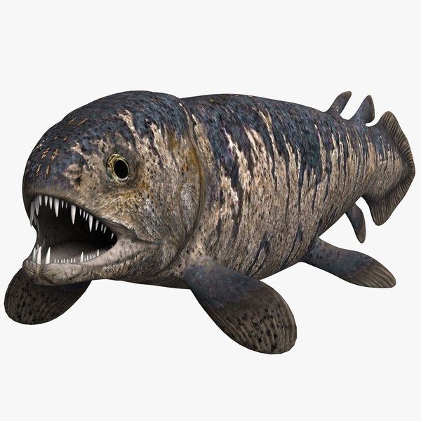 3D модель Rhizodus - TurboSquid 1346107