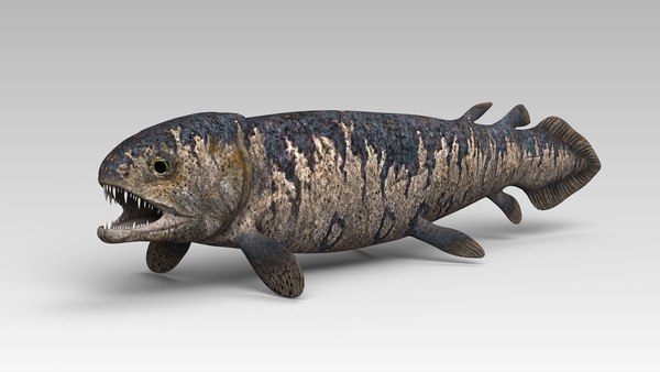 3D rhizodus model - TurboSquid 1346107