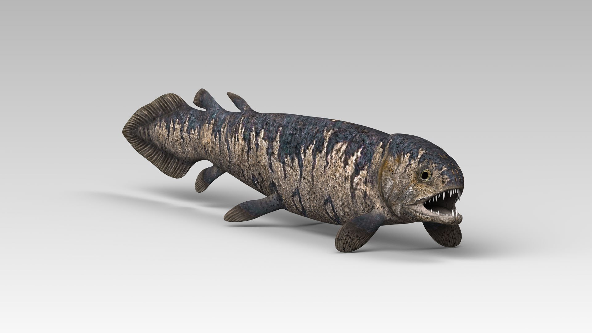 3D Rhizodus Model - TurboSquid 1346107