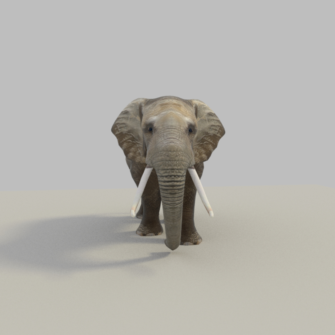 3d Elephant Animation Model