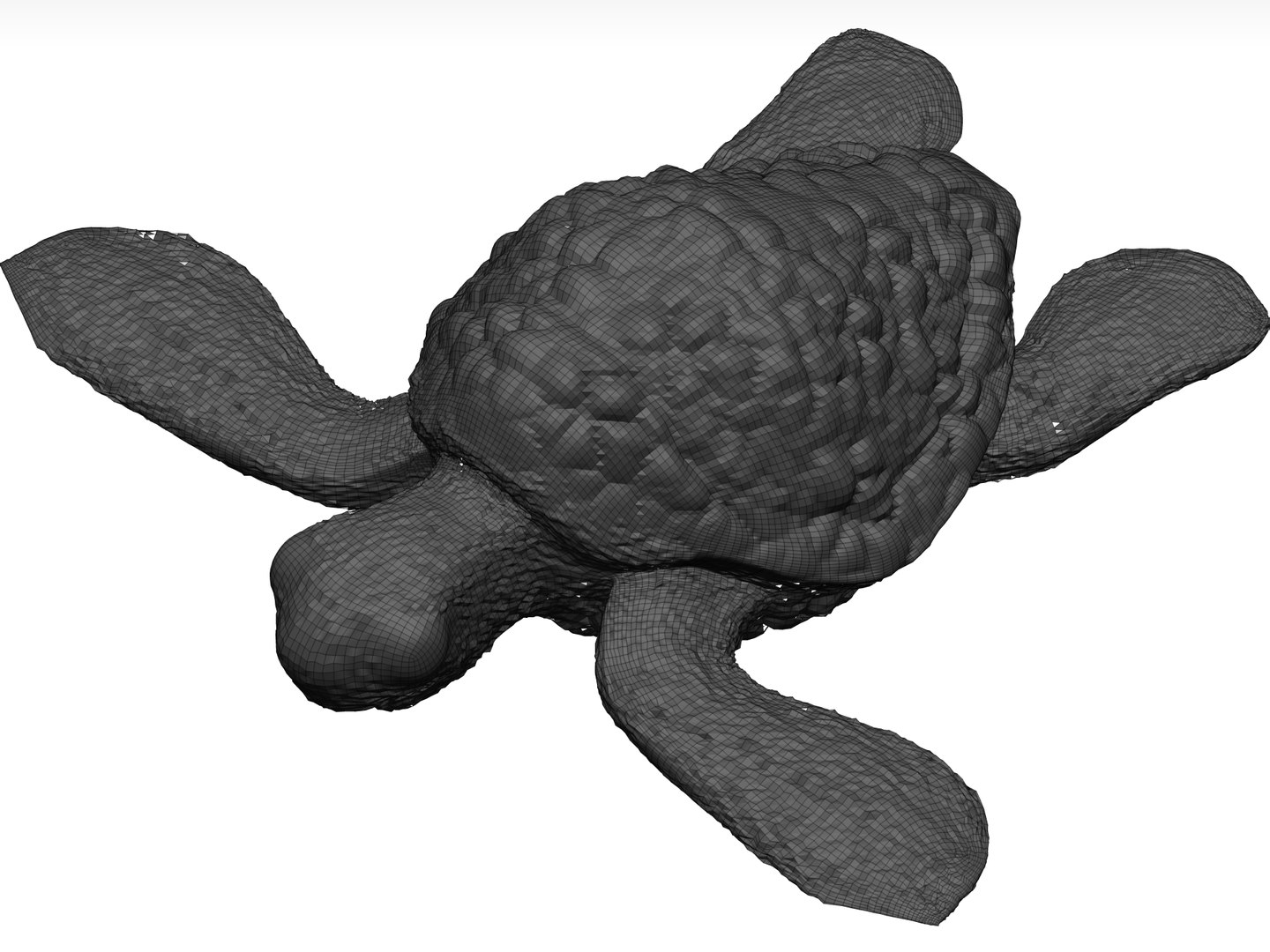 Sea Turtle Stl 3D - TurboSquid 1774235