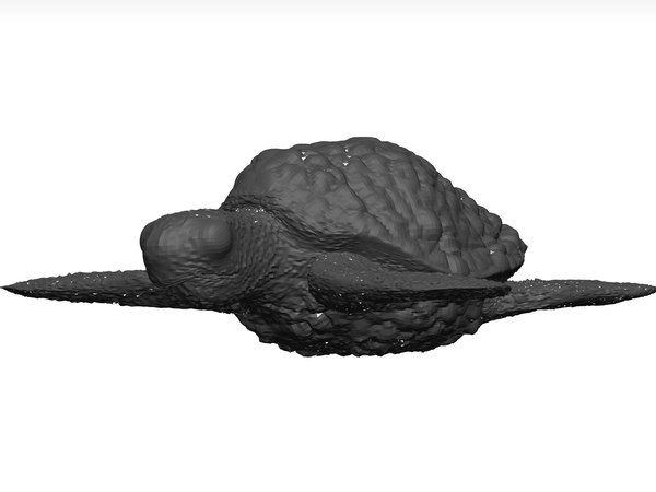 Sea Turtle Stl 3D - TurboSquid 1774235