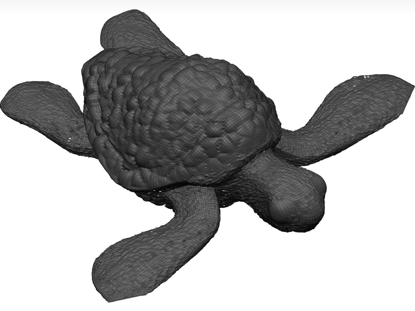 Sea Turtle Stl 3D - TurboSquid 1774235