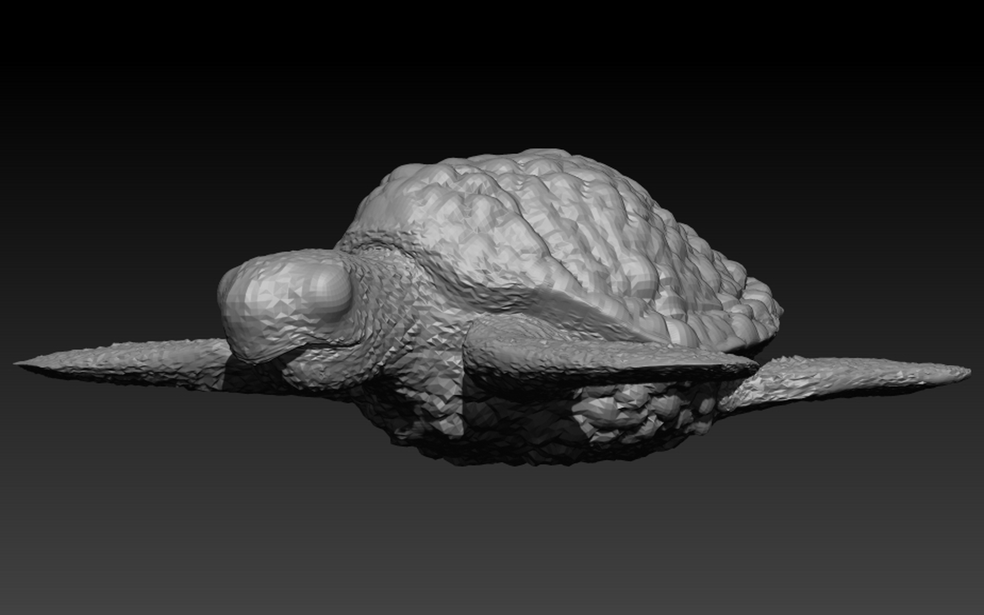 Sea Turtle Stl 3D - TurboSquid 1774235