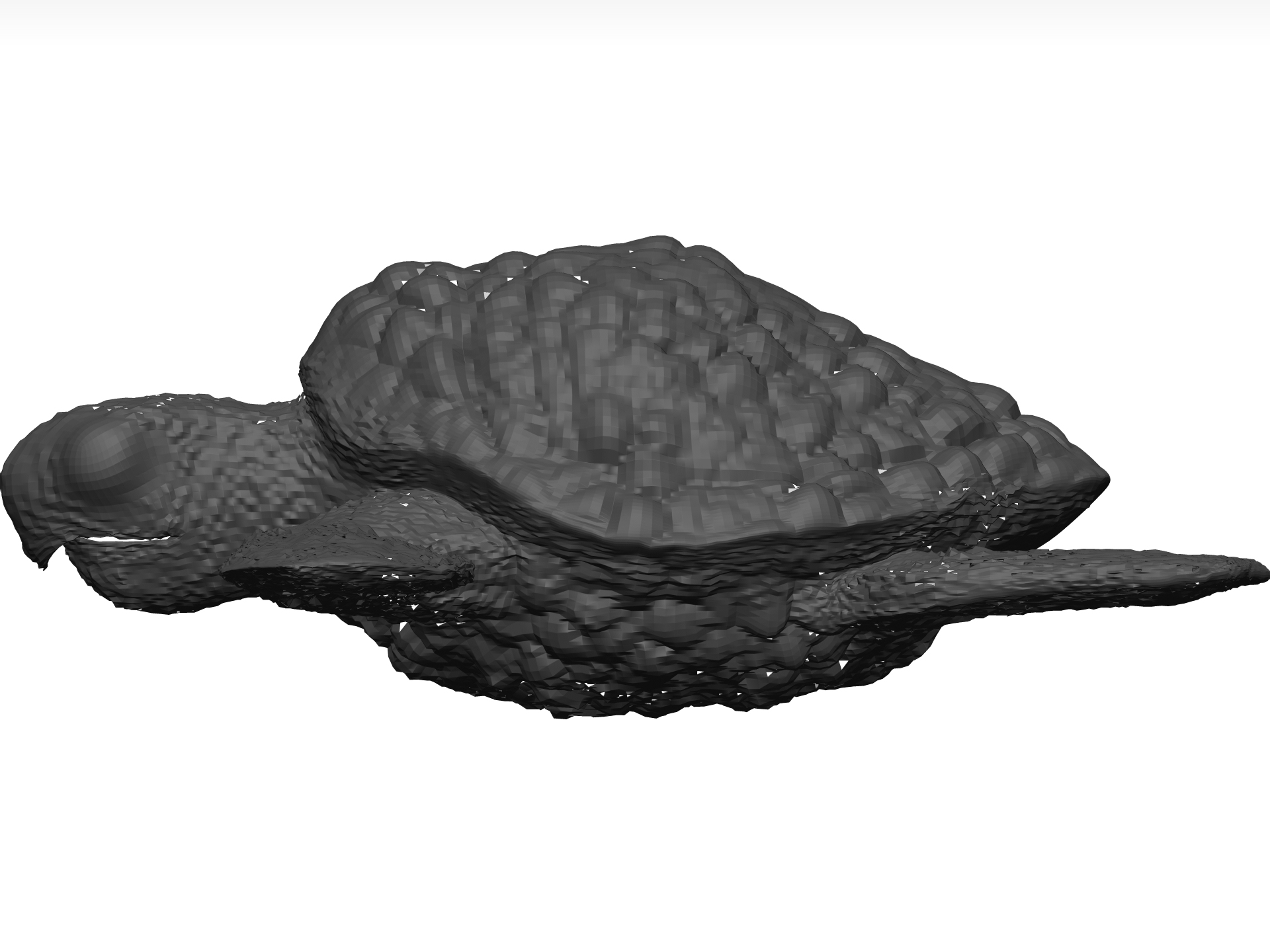 Sea Turtle Stl 3D - TurboSquid 1774235