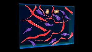 3D Anatomy Tissue Models - Browse & Download Formats - TurboSquid