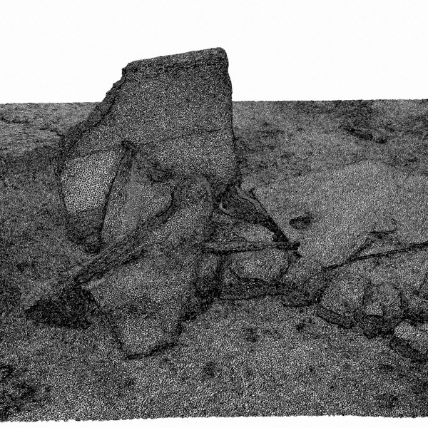 photoscaned roadblock max