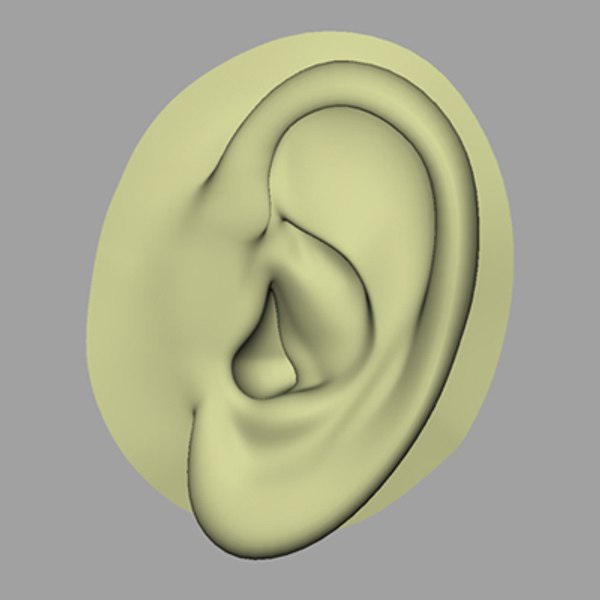 modelo 3d oreja A.obj - TurboSquid 340488