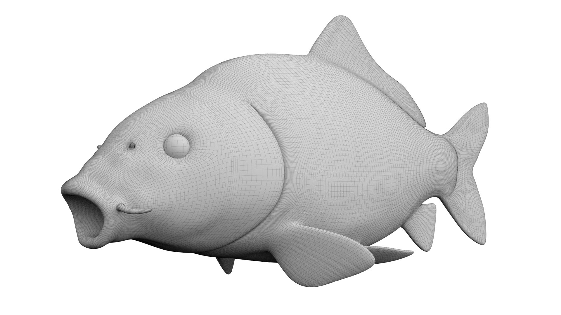 Full Fish Anatomy Static 3D model - TurboSquid 1927182