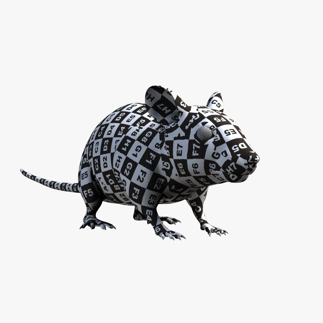 3d Model Grey House Mouse Fur