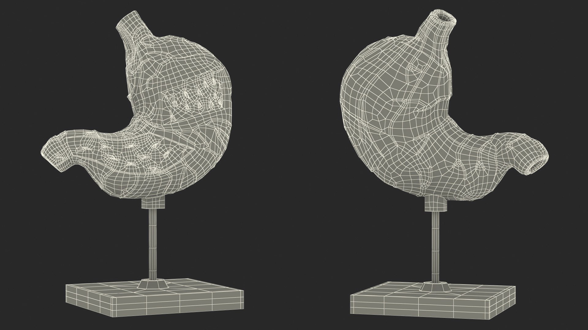 3D Medical Models Collection 5 model - TurboSquid 2122530
