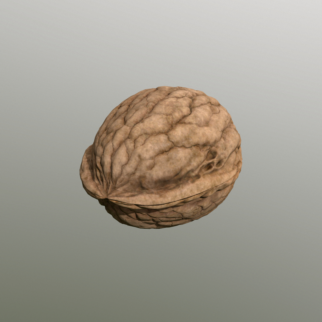 Walnut Nut 3d Obj