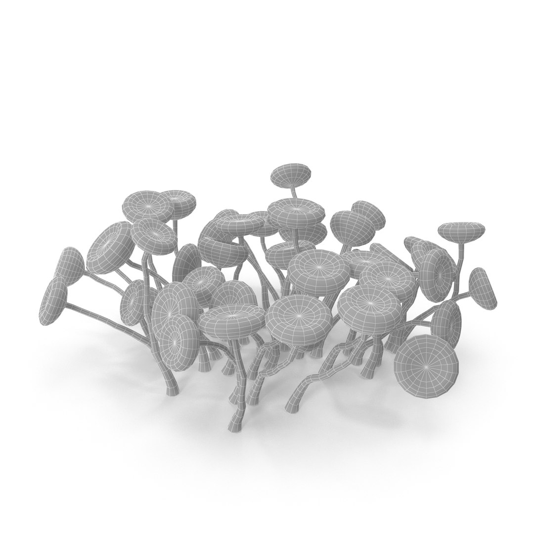 3D Physarum Nutans Mushrooms Model - TurboSquid 2239122
