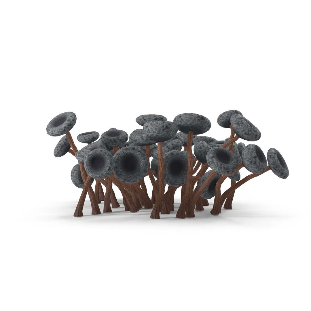 3D Physarum Nutans Mushrooms Model - TurboSquid 2239122