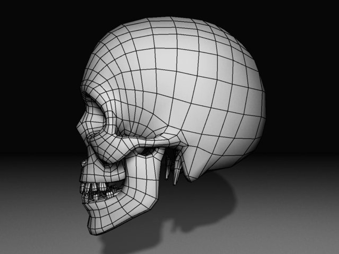 3d Model Nextgen Skull