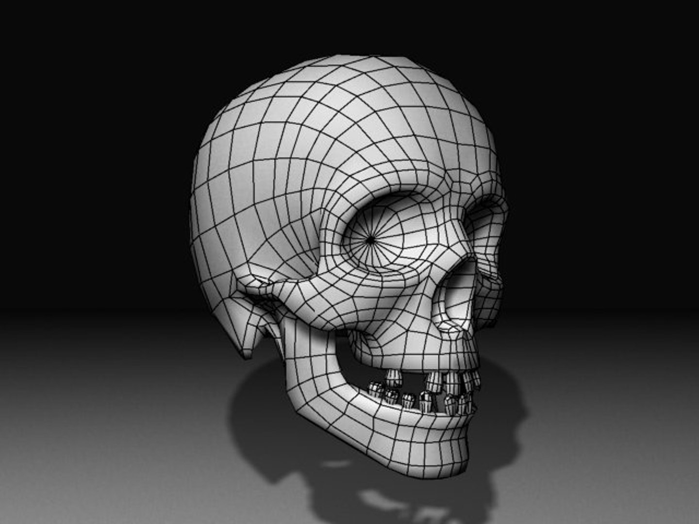 3d Model Nextgen Skull