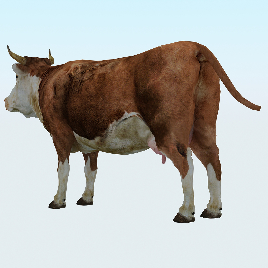 3D model cow - TurboSquid 1387644