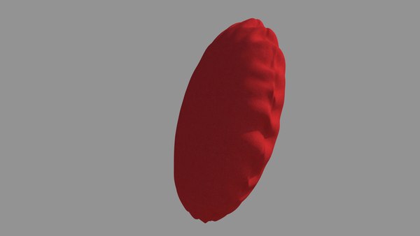 3D Round Cushion Pillow model - TurboSquid 1981341
