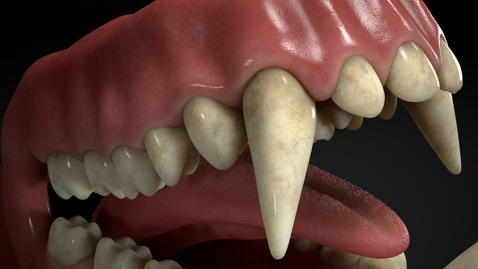 Realistic Gorilla Mouth Anatomy 3D Model - TurboSquid 2238253