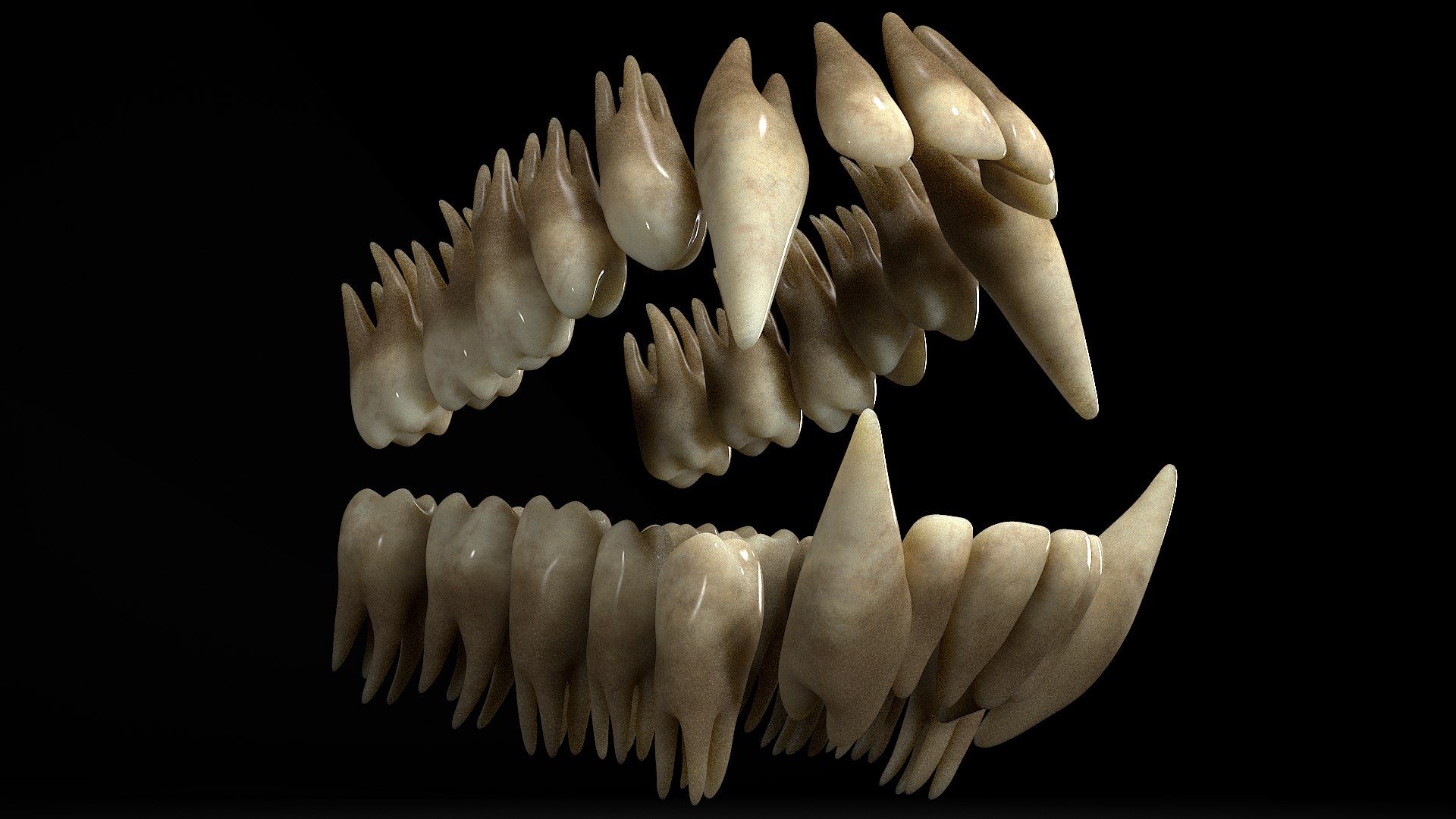Realistic Gorilla Mouth Anatomy 3D Model - TurboSquid 2238253