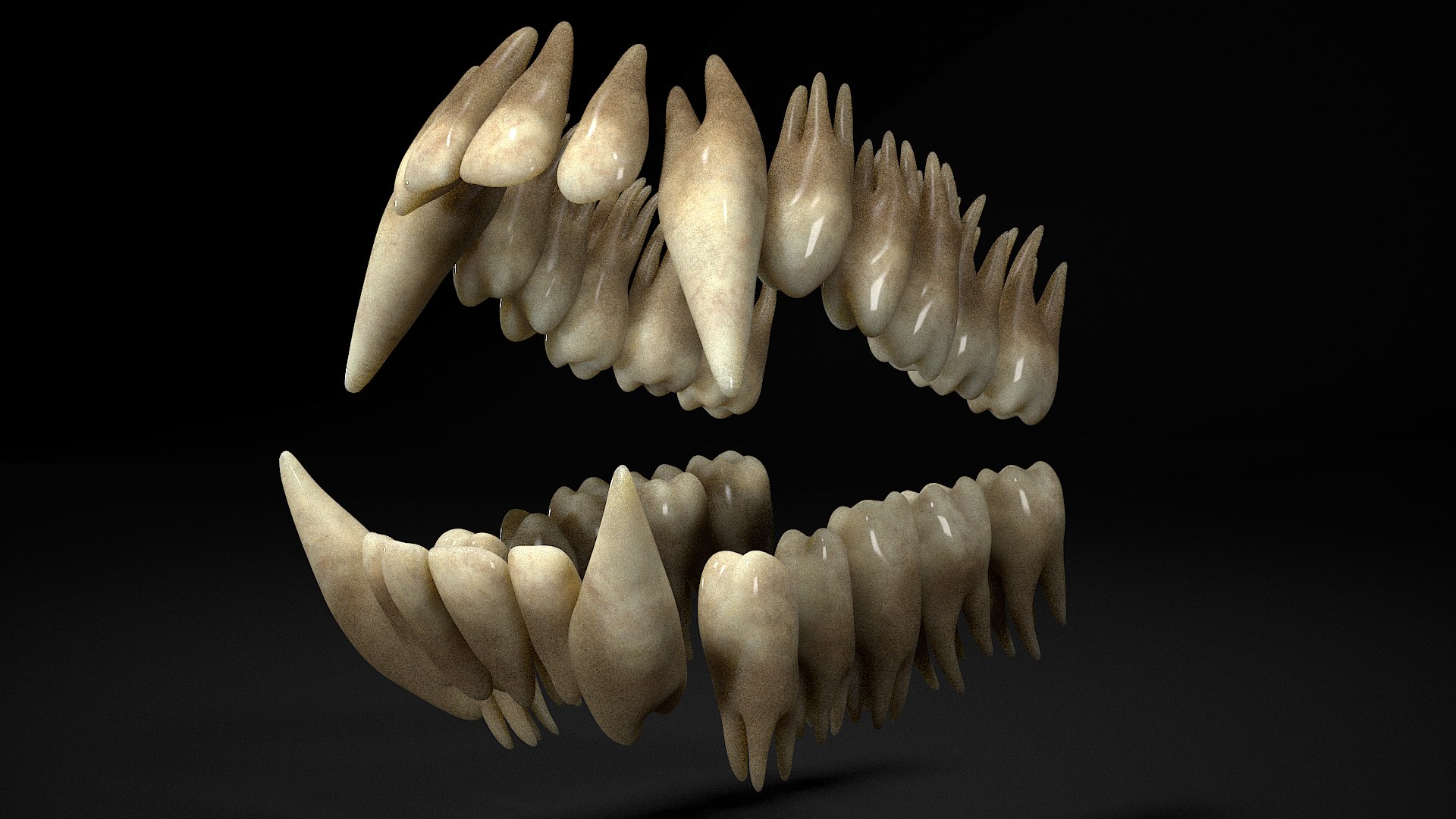 Realistic Gorilla Mouth Anatomy 3D Model - TurboSquid 2238253