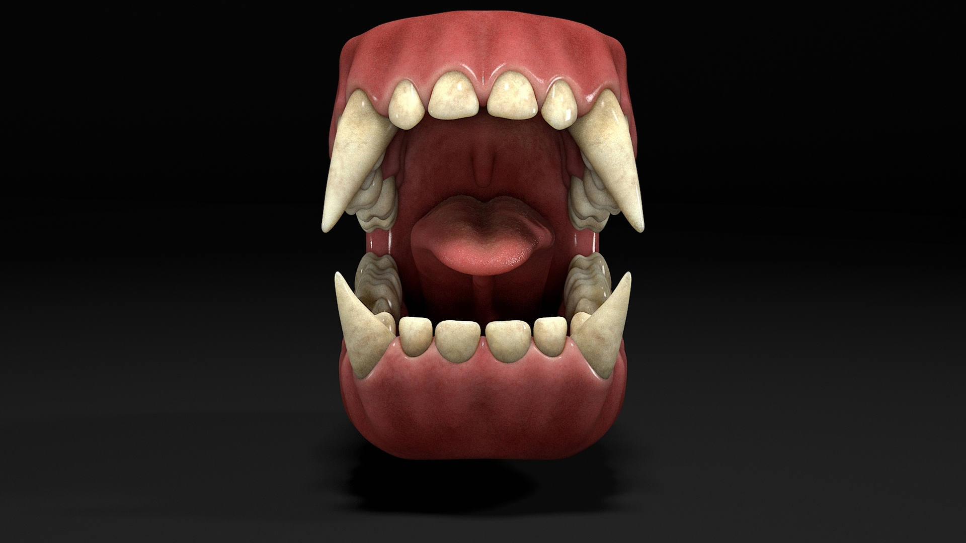 Realistic Gorilla Mouth Anatomy 3D Model - TurboSquid 2238253