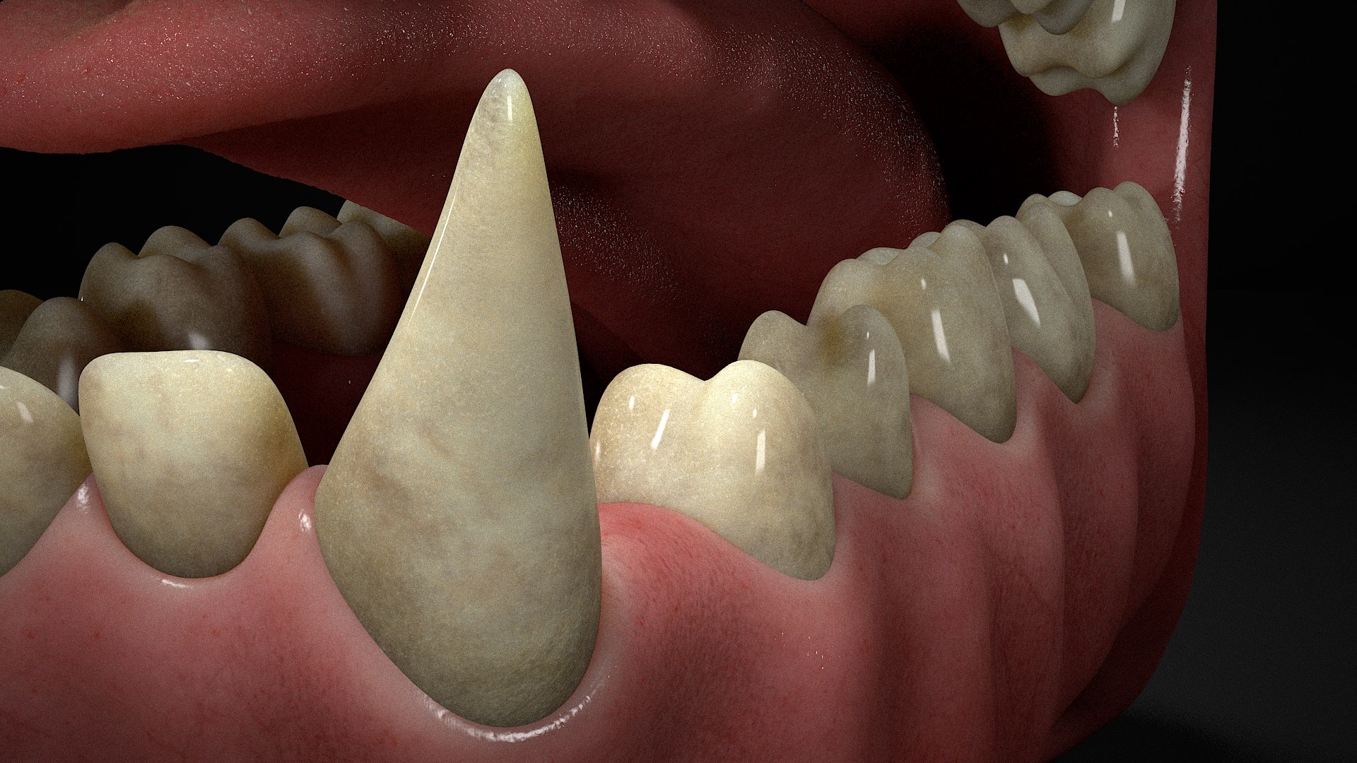 Realistic Gorilla Mouth Anatomy 3D Model - TurboSquid 2238253