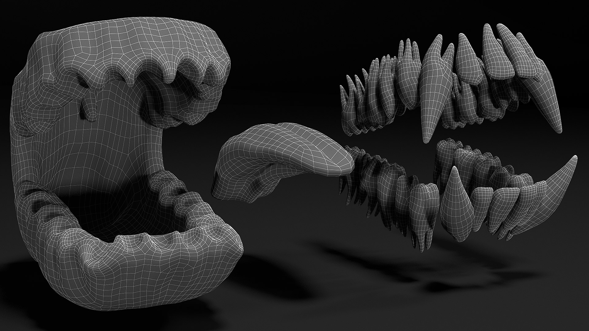 Realistic Gorilla Mouth Anatomy 3D Model - TurboSquid 2238253