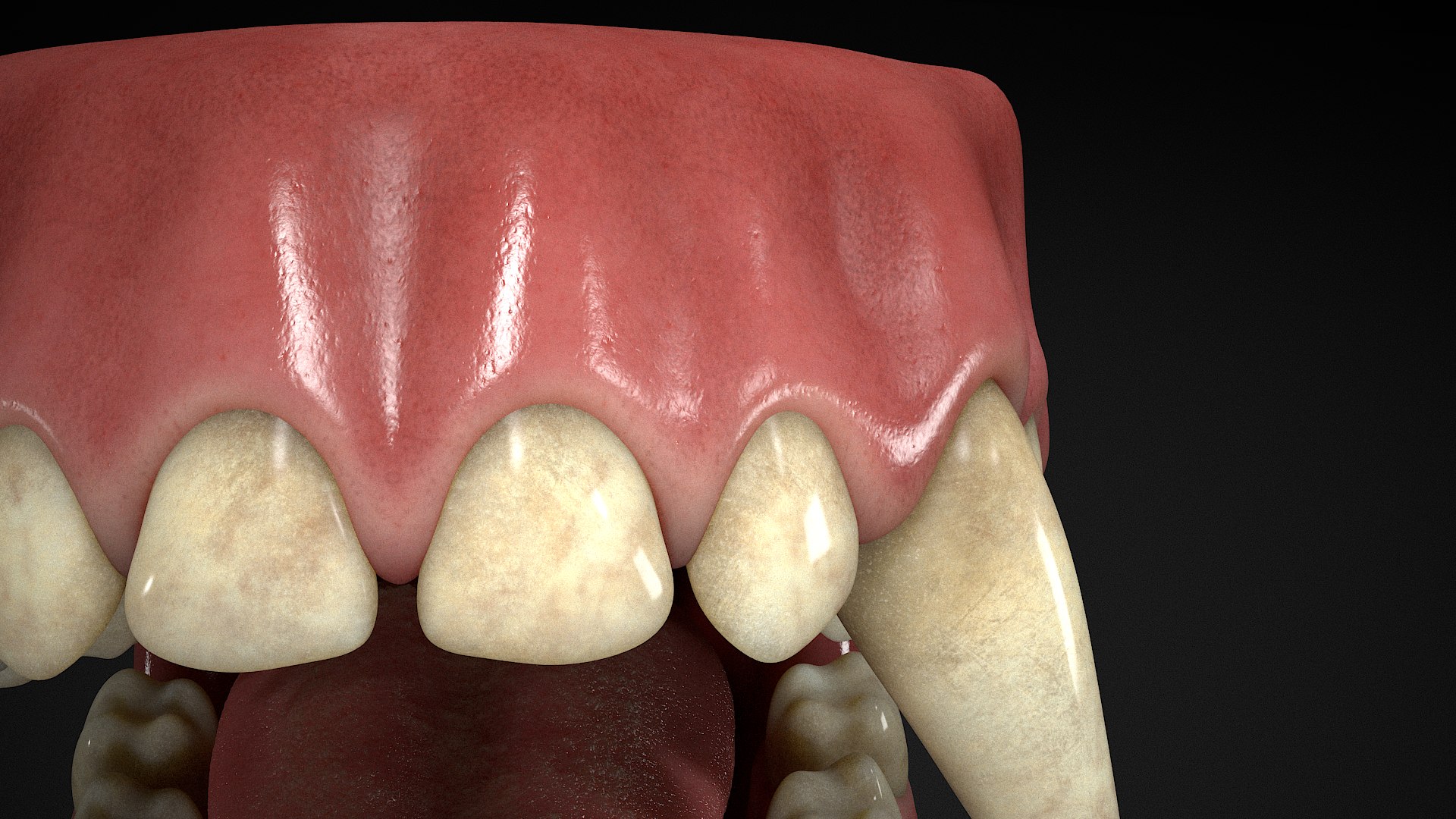 Realistic Gorilla Mouth Anatomy 3D Model - TurboSquid 2238253