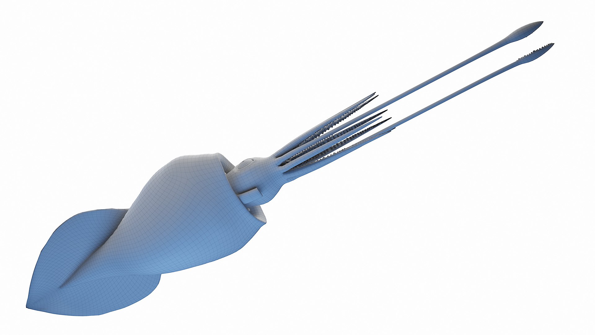 3D Colossal Squid Model - TurboSquid 1960831