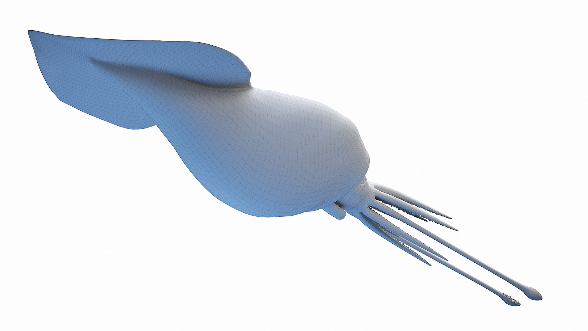 3D Colossal Squid Model - TurboSquid 1960831